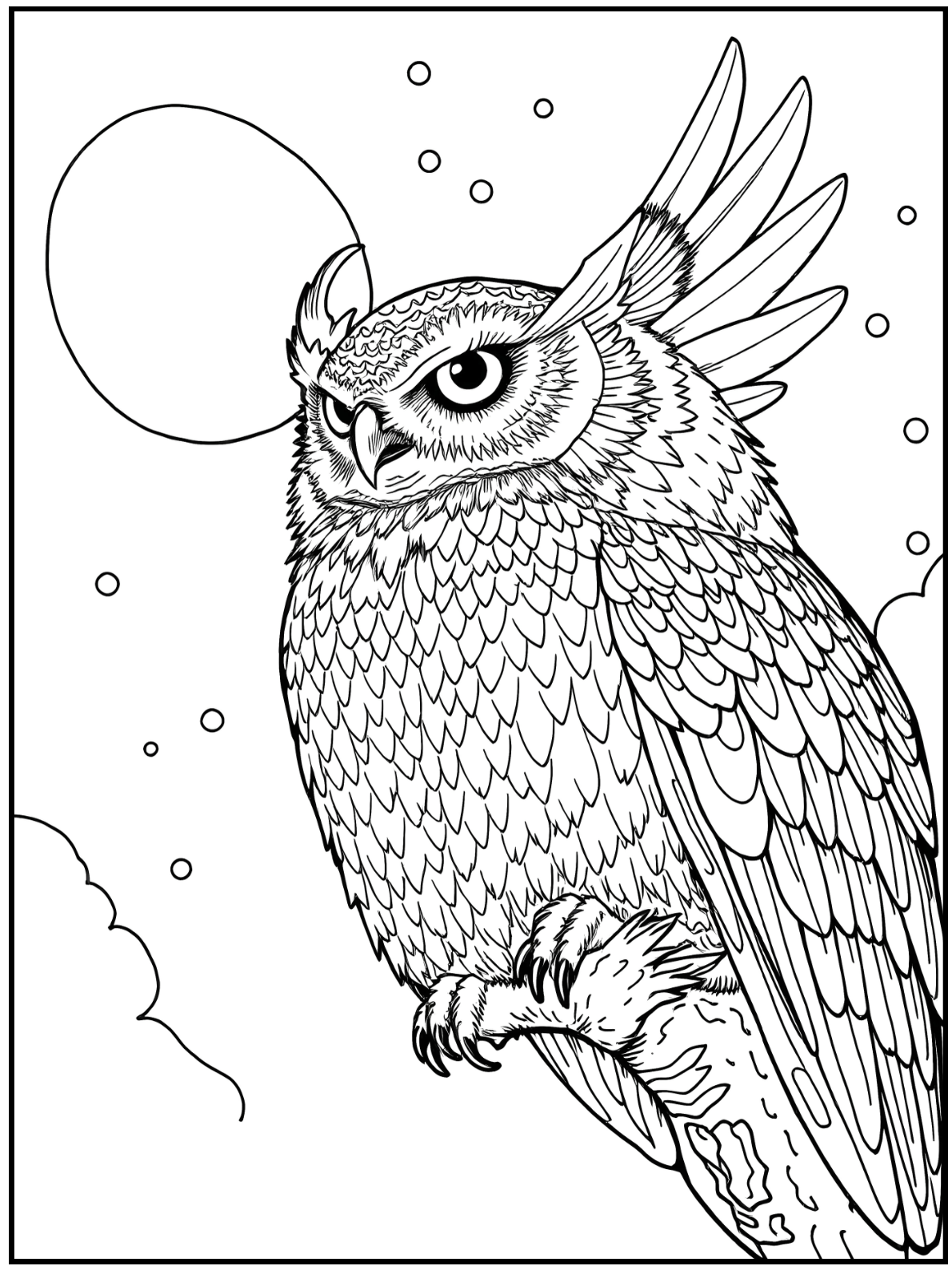 50 Free Owl Coloring Pages to Download and Print